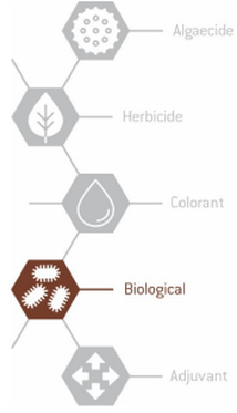 Bacti-Klear® - Applied Biochemists